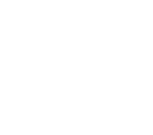 Numadvisor - INTEGRATEUR ERP SAGE-X3