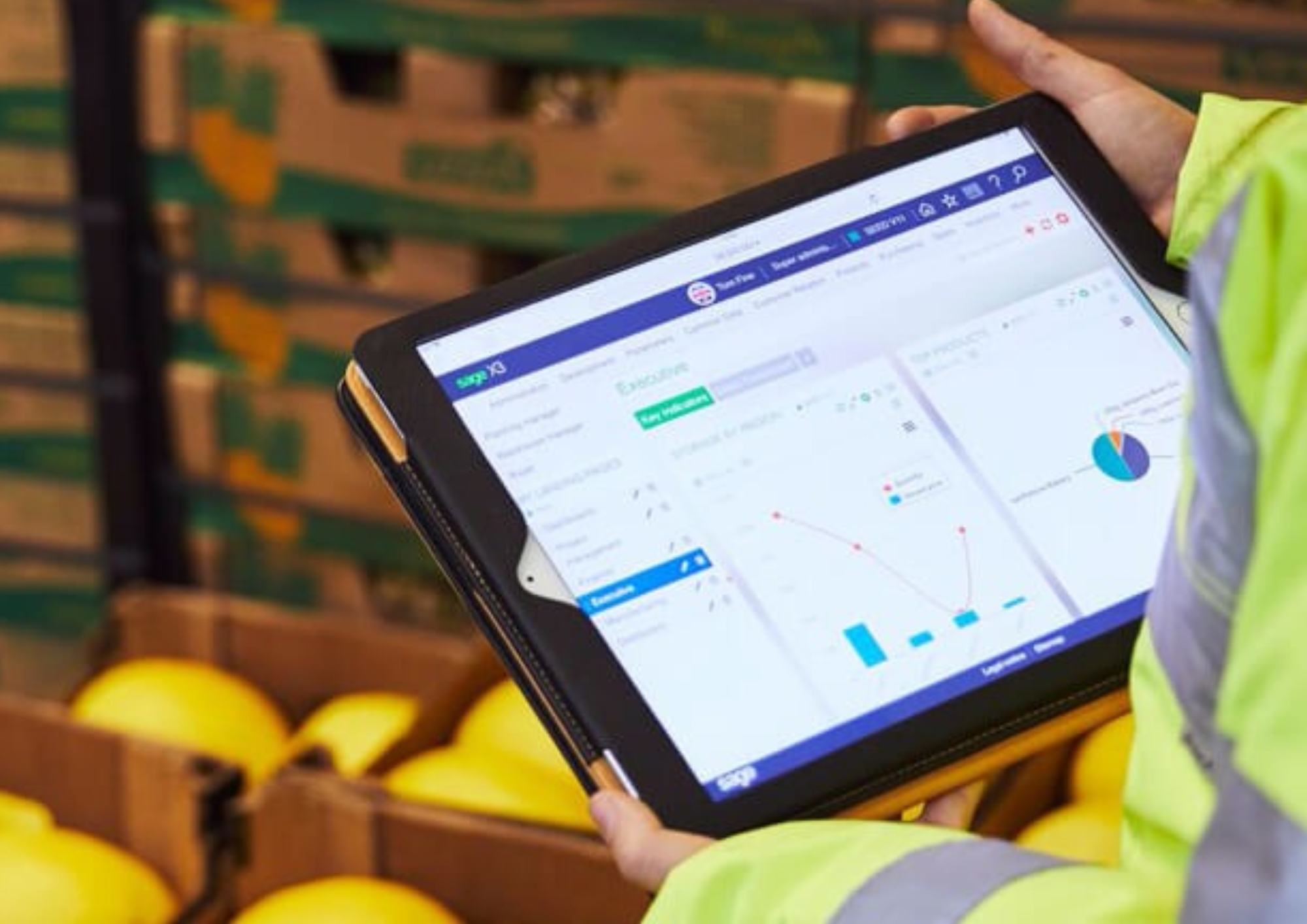 Numadvisor - INTEGRATEUR ERP SAGE-X3